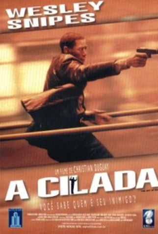 A Cilada: filme de 2000 - Filmow