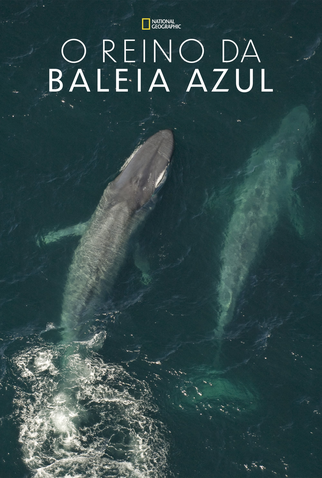 O Reino da Baleia Azul - 8 de Março de 2009 | Filmow