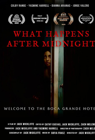 What Happens After Midnight - 13 de Novembro de 2023 | Filmow
