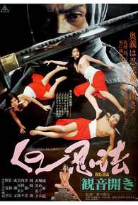 Female Ninjas: In Bed with the Enemy - 14 de Fevereiro de 1976 | Filmow