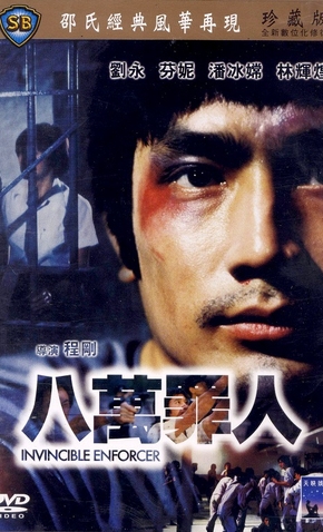 Invincible Enforcer - 11 de Setembro de 1979 | Filmow