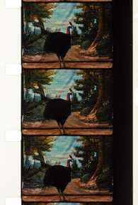 Casuar - 2010 | Filmow