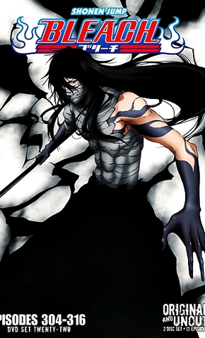 Bleach (14ª Temporada) - 13 de Abril de 2010 | Filmow