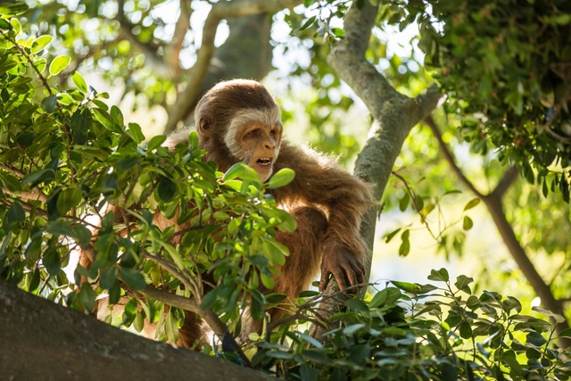 First Man - 8 de Junho de 2017 | Filmow