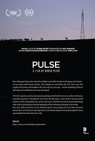 Pulse - 2015 | Filmow