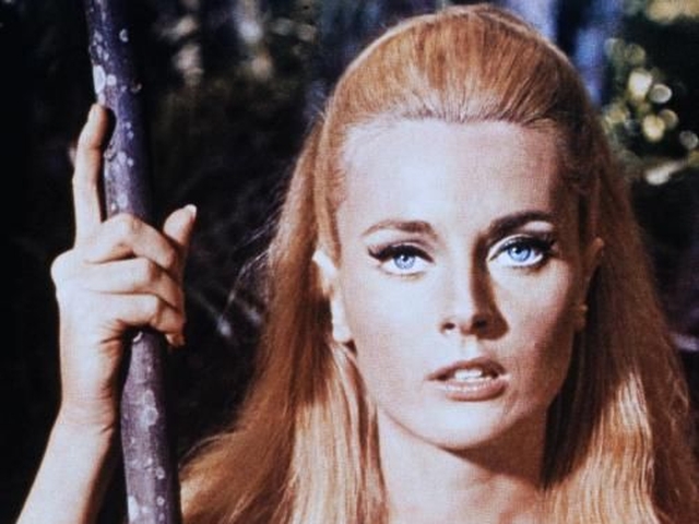 The Face of Eve - 19 de Julho de 1968 | Filmow