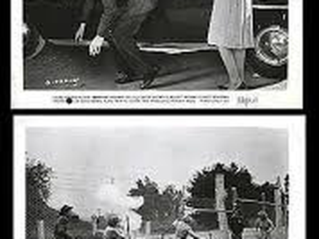Betrayed Women - 1955 | Filmow