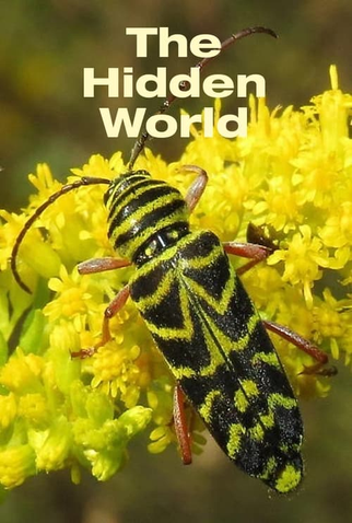 The Hidden World - 1958 | Filmow