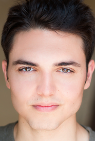 Roberto Capriotti | Artista | Filmow