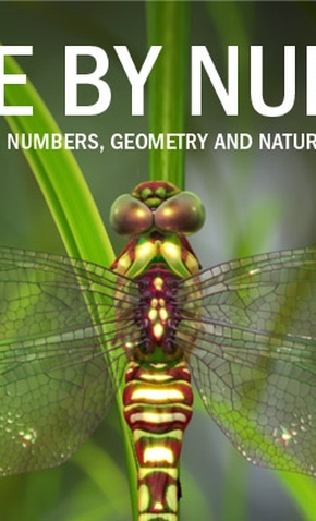 Nature By Numbers - 2010 | Filmow