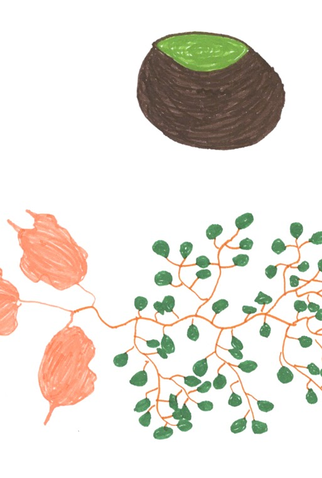 Batata Assada Dentro da Terra - 2013 | Filmow