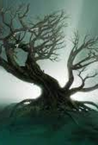 The Tree Anthology - 26 de Maio de 2020 | Filmow