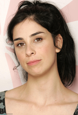 Sarah Silverman (1 de Dezembro de 1970) | Artista | Filmow