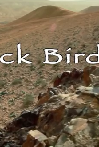 Black Bird - 2015 | Filmow