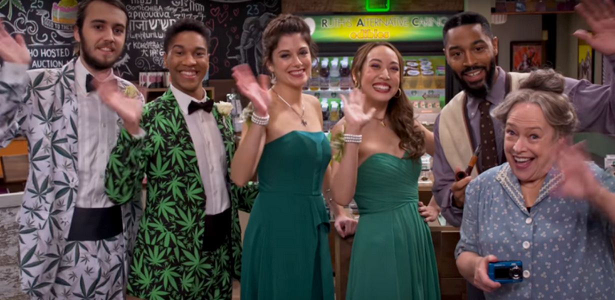 Crítica | Disjointed - 1ª Temporada - Sons of Series | Notícias | Filmow