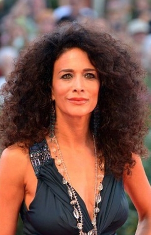 Randi Ingerman (13 de Novembro de 1967) | Artista | Filmow