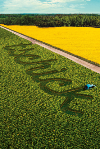 Goodbye Berlin - 15 de Setembro de 2016 | Filmow