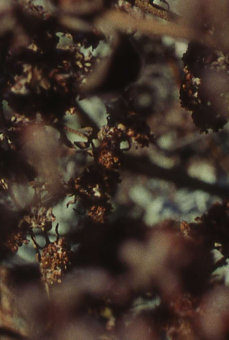 Aubade - 2010 | Filmow