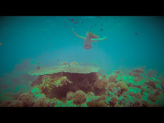 The3Tails Movie: A Mermaid Adventure - 1 de Agosto de 2015 | Filmow