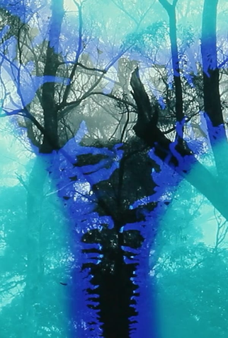 Deforest - 2015 | Filmow