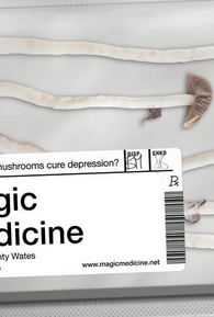 Medicina Mágica: filme de 2018 - Filmow