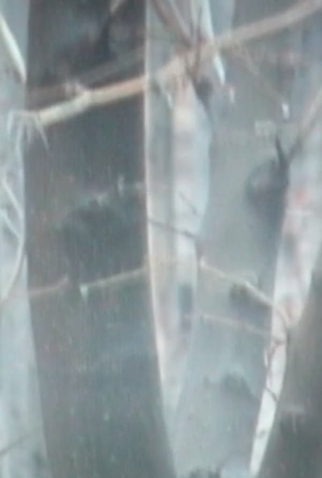 February - 2010 | Filmow