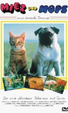 As Aventuras de Chatran - 19 de Janeiro de 1989 | Filmow