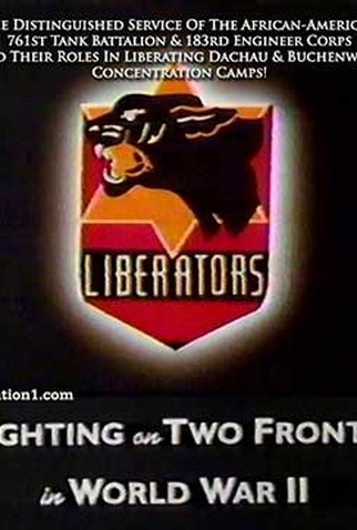 Liberators: Fighting on Two Fronts in World War II - 11 de Novembro de ...