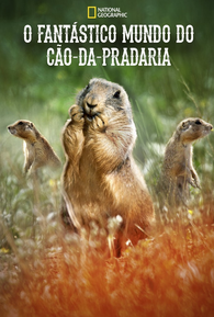 O Fantástico Mundo do Cão-da-Pradaria: filme de 2019 - Filmow