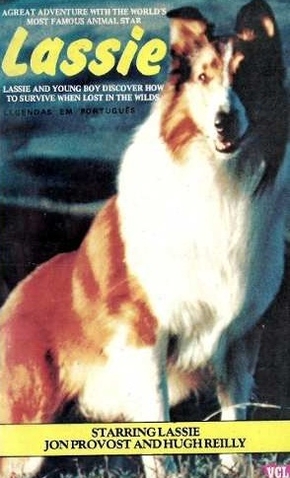 Lassie - 1954 | Filmow
