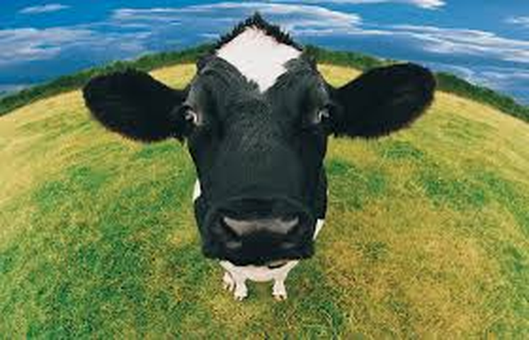 Vaquinha do Filmow (vaquinhadofilmow) | Filmow