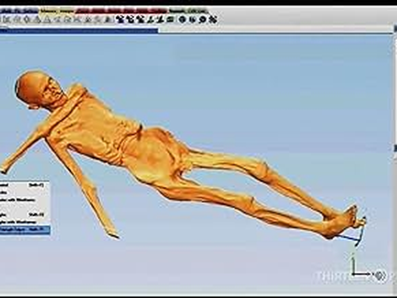 Iceman Reborn: tv de 2016 - Filmow