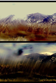 Trigal - 2010 | Filmow