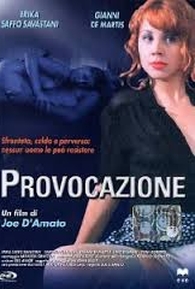 Provocation - 1996 | Filmow