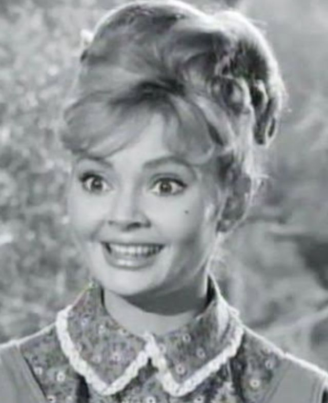 Fotos | Diane Mountford | Artista | Filmow