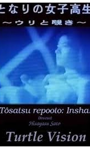 Turtle Vision - 1991 | Filmow