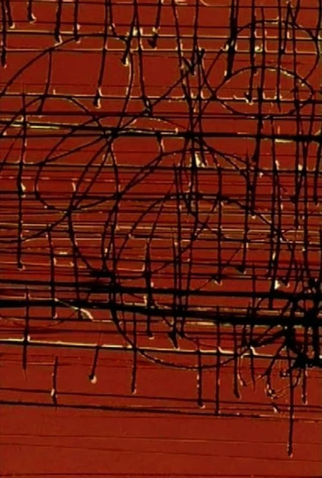 Scratch - 2000 | Filmow