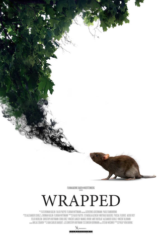 Wrapped - 2015 | Filmow