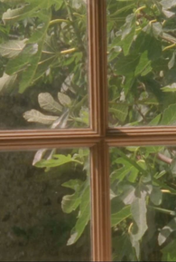 Reflection - 2017 | Filmow