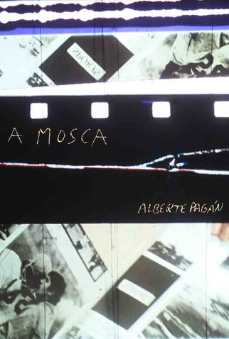 A Mosca - 2017 | Filmow