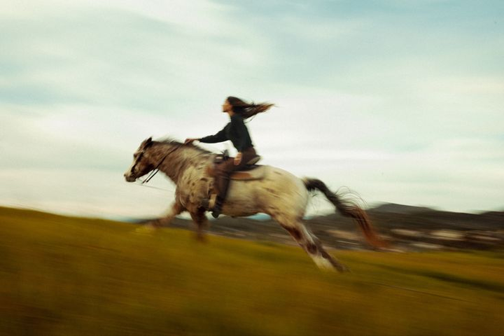 virgínia. (virginiaguimaraes) | Filmow