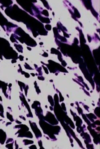 Behind the Shadows - 2009 | Filmow