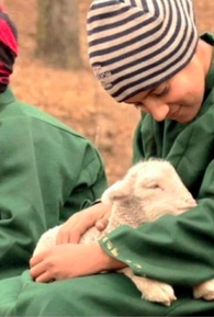 THE PUPPET - 2013 | Filmow