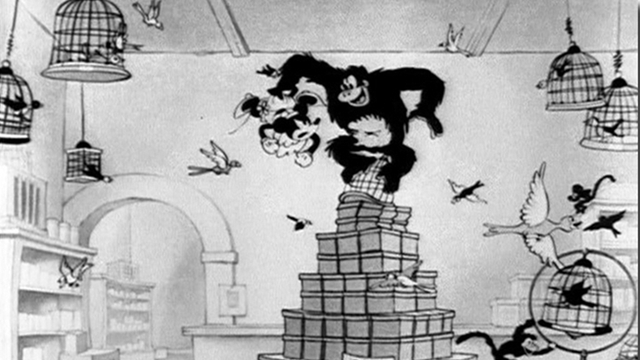 The Pet Store - 28 de Outubro de 1933 | Filmow