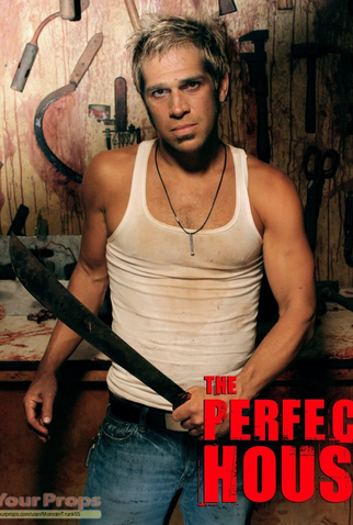 The Perfect House - 2013 | Filmow