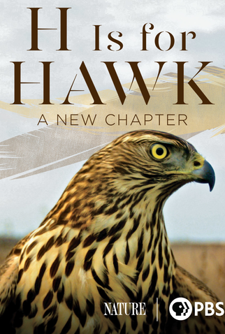 The BBC: Natural World - H is for Hawk: A New Chapter: episódio de 2017 ...